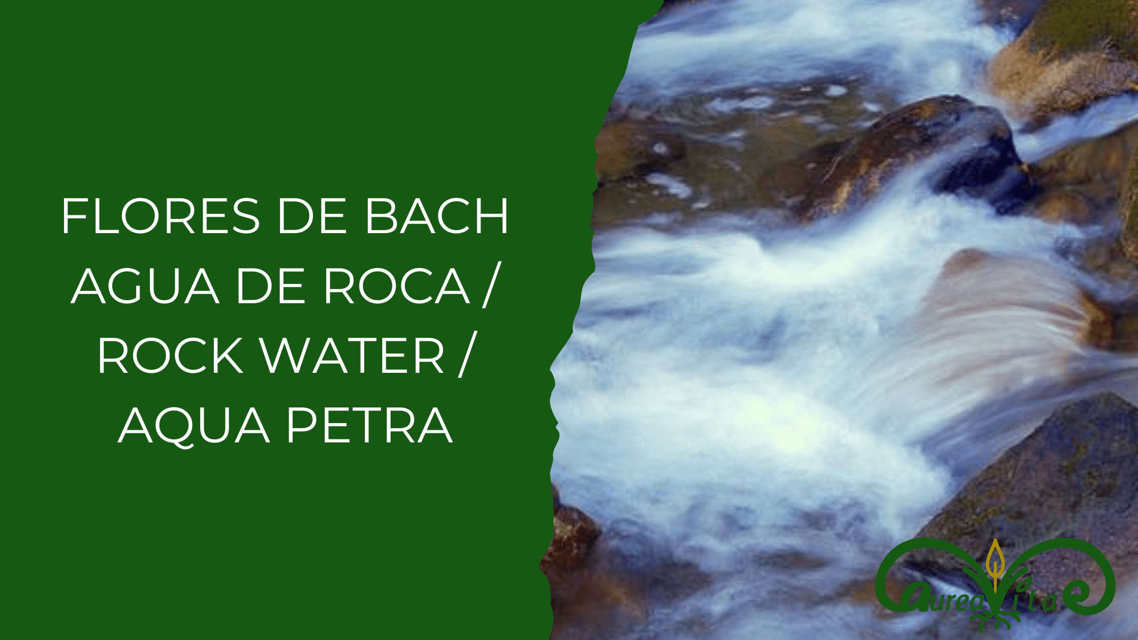 Flor de Bach: AGUA DE ROCA / ROCK WATER / Aqua petra | Aurea Vitae